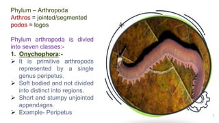 Competetive Introductory Agricultural Entomology | PPTX