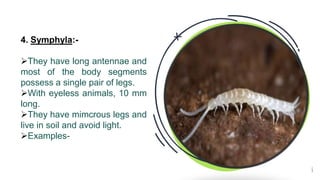 Competetive Introductory Agricultural Entomology | PPTX