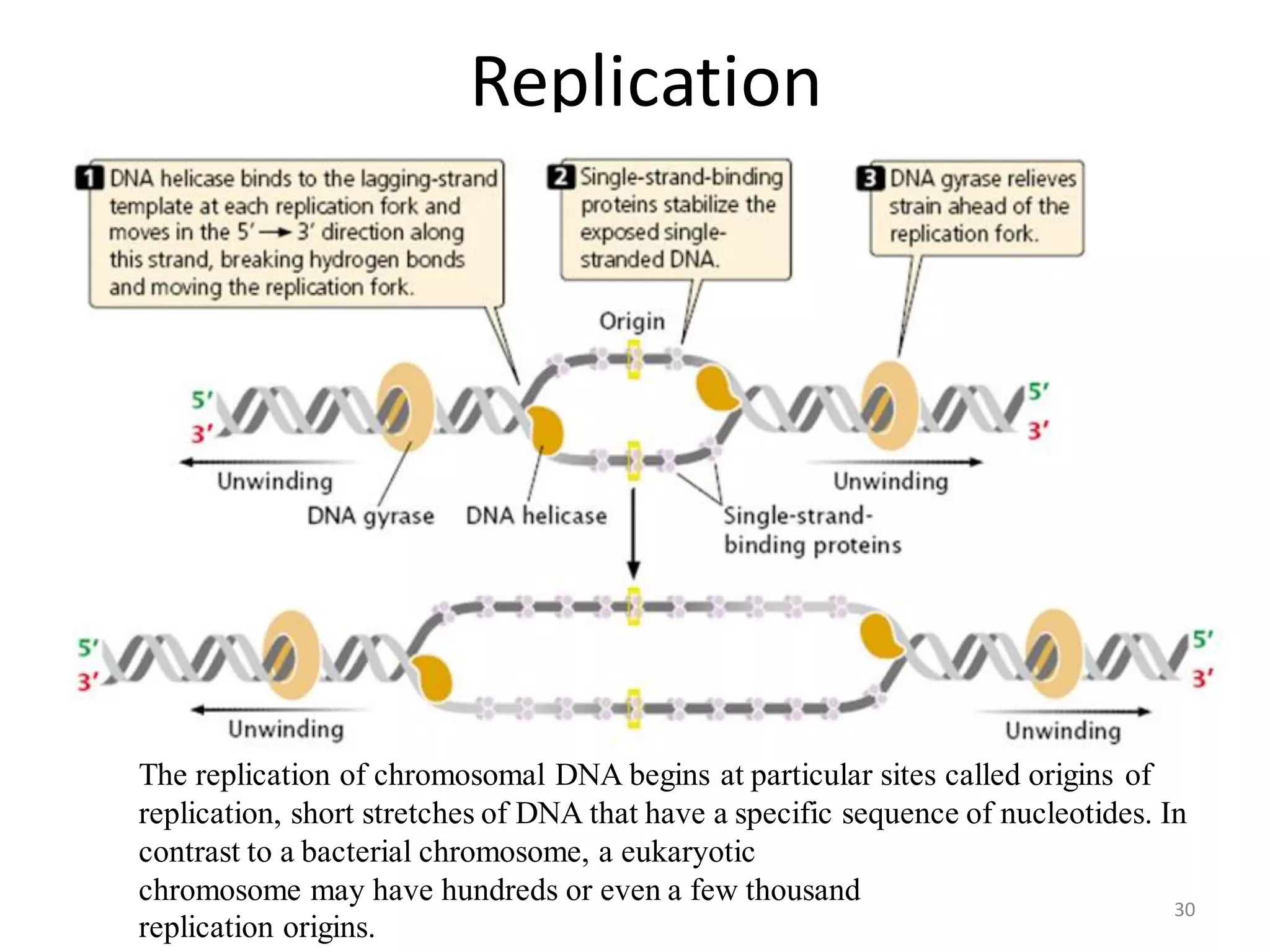 Introductory Biology_5.pdf