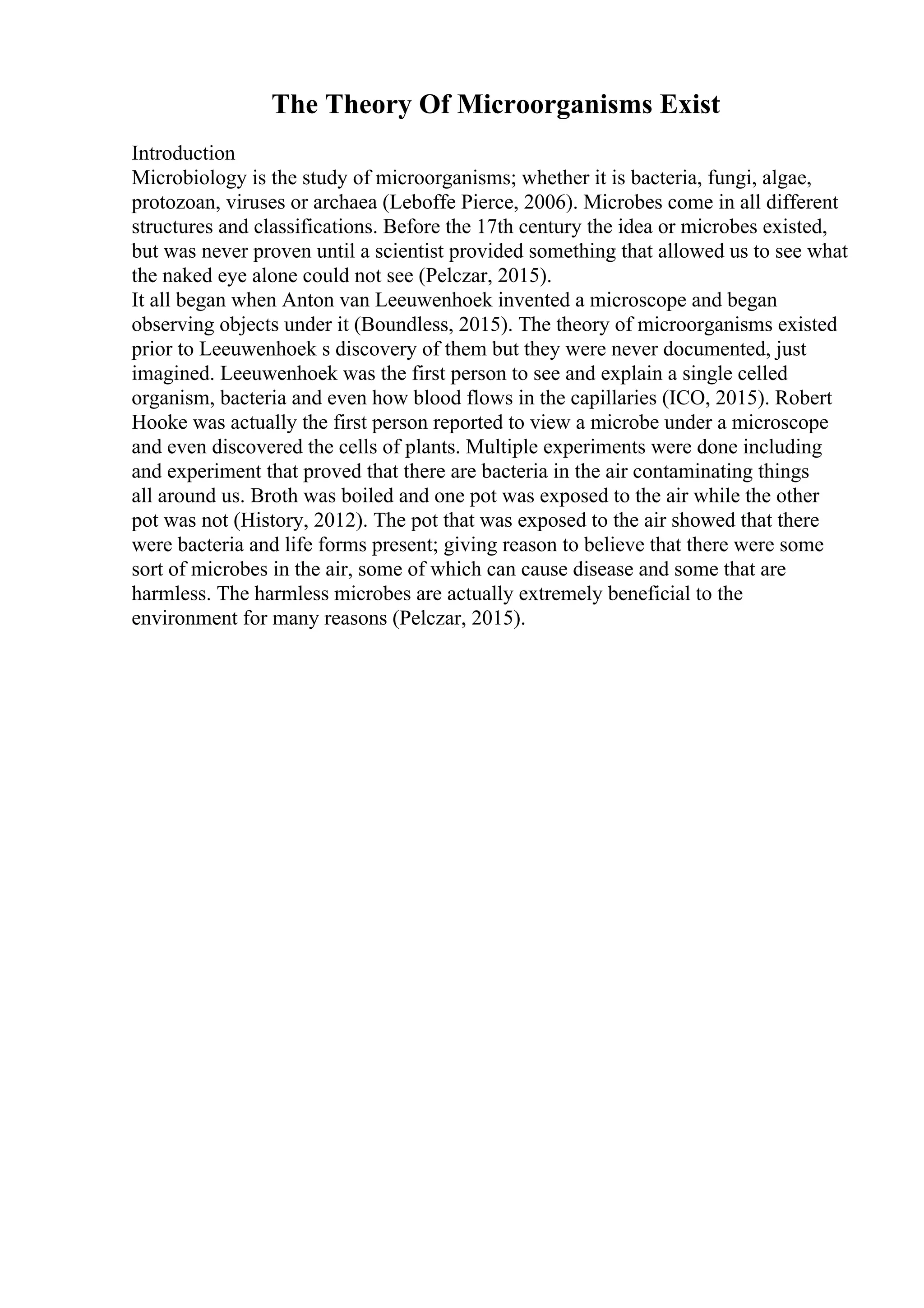 Introductory Essay Sample. How to Write an Introductory Paragraph for a ...