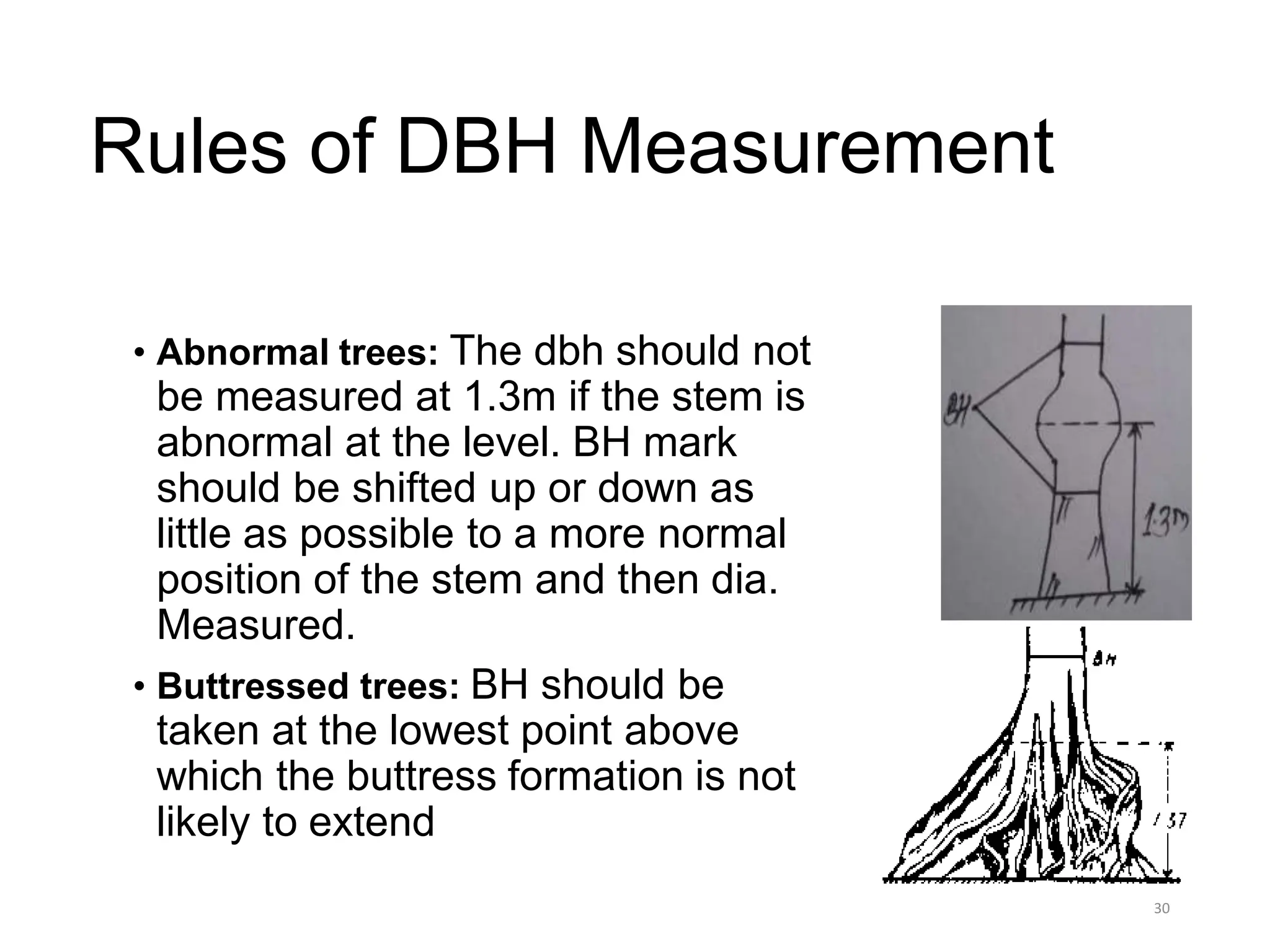 Forestry Introductory Forest Mensuration.pptx