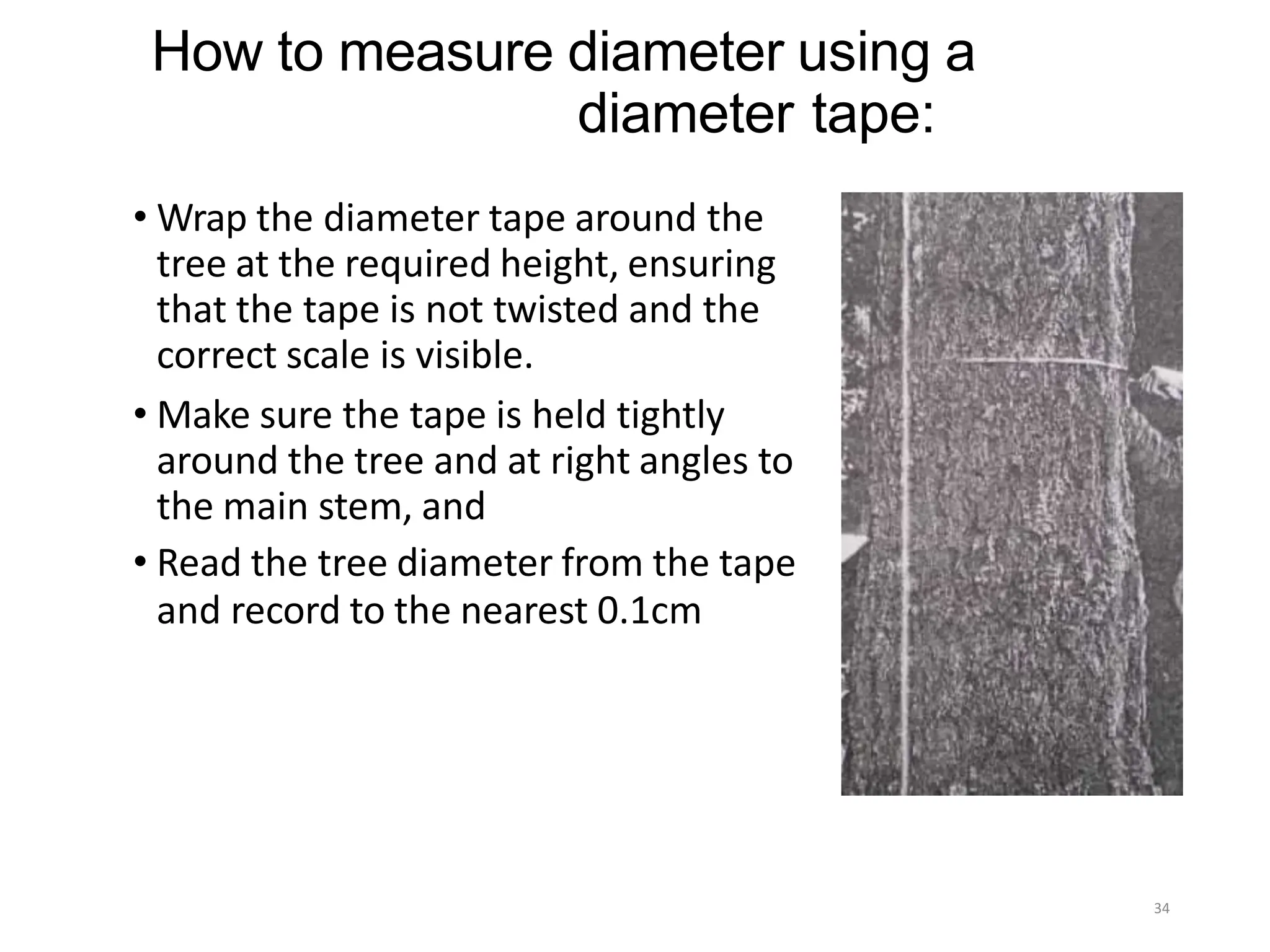 Forestry Introductory Forest Mensuration.pptx | Physics | Science
