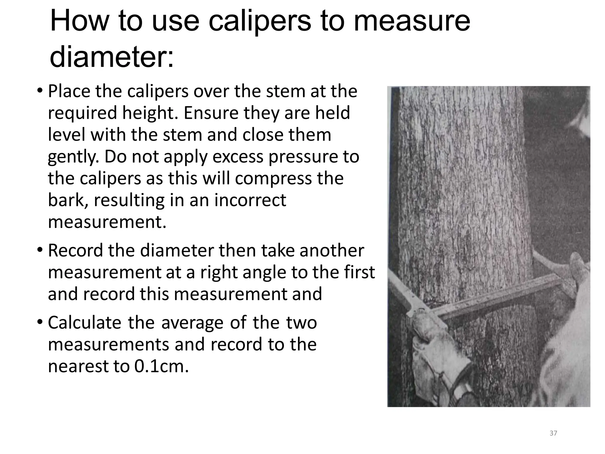 Forestry Introductory Forest Mensuration Pptx Physics Science