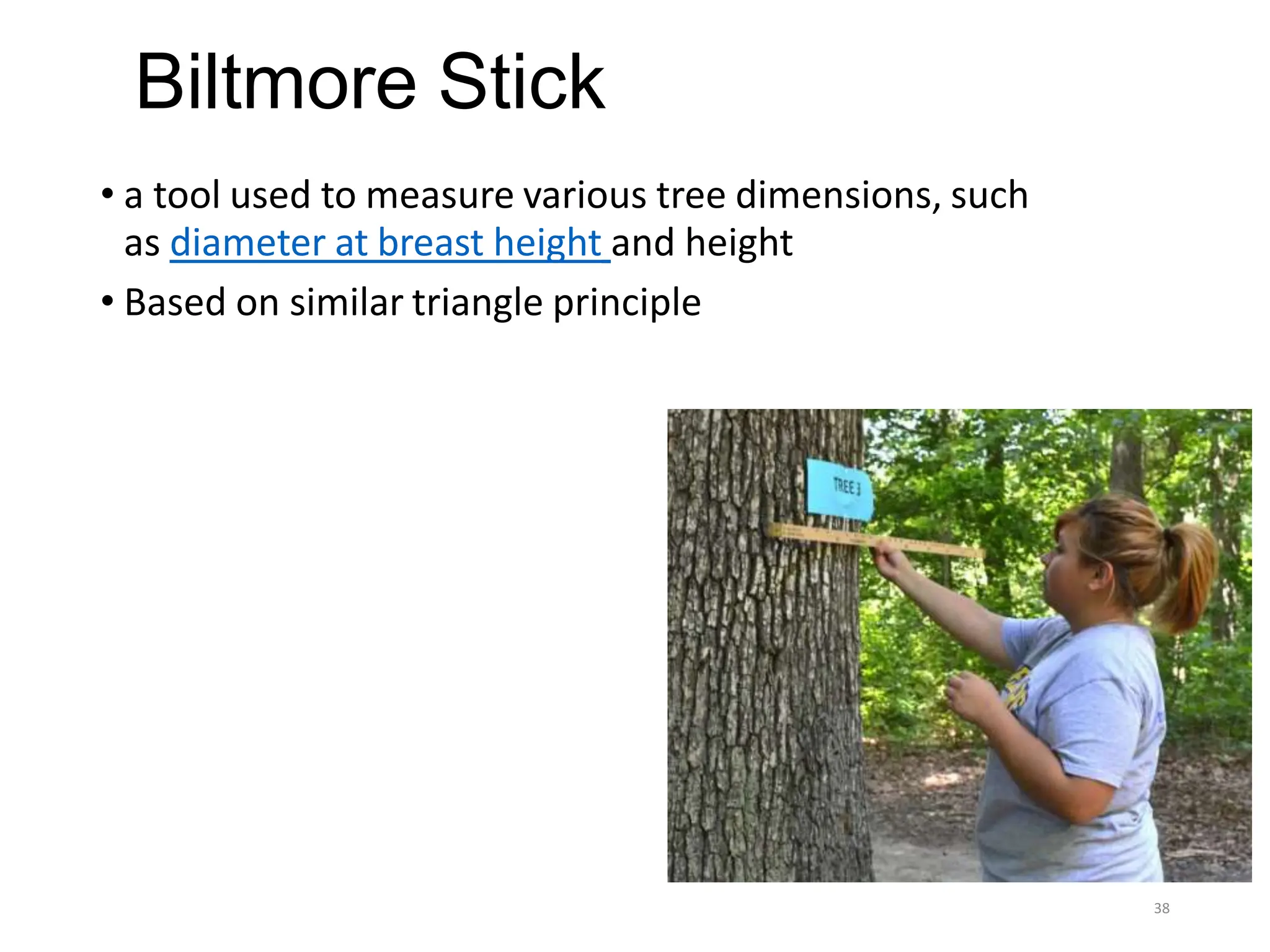 Forestry Introductory Forest Mensuration.pptx | Physics | Science