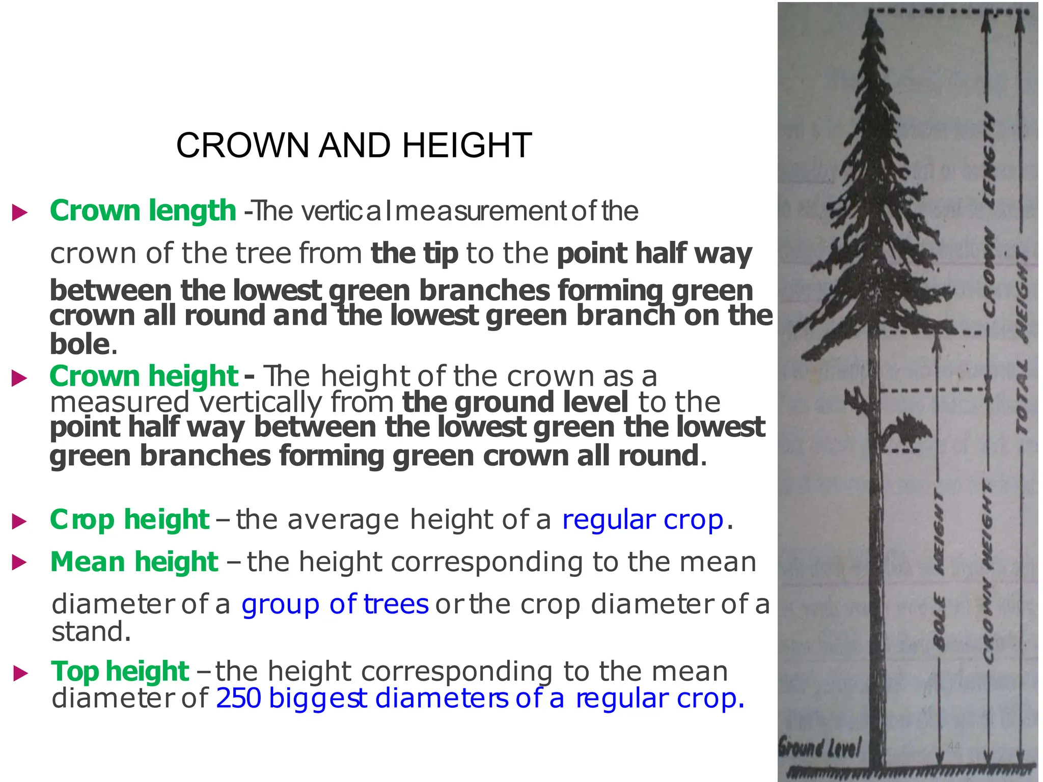 Forestry Introductory Forest Mensuration.pptx | Physics | Science