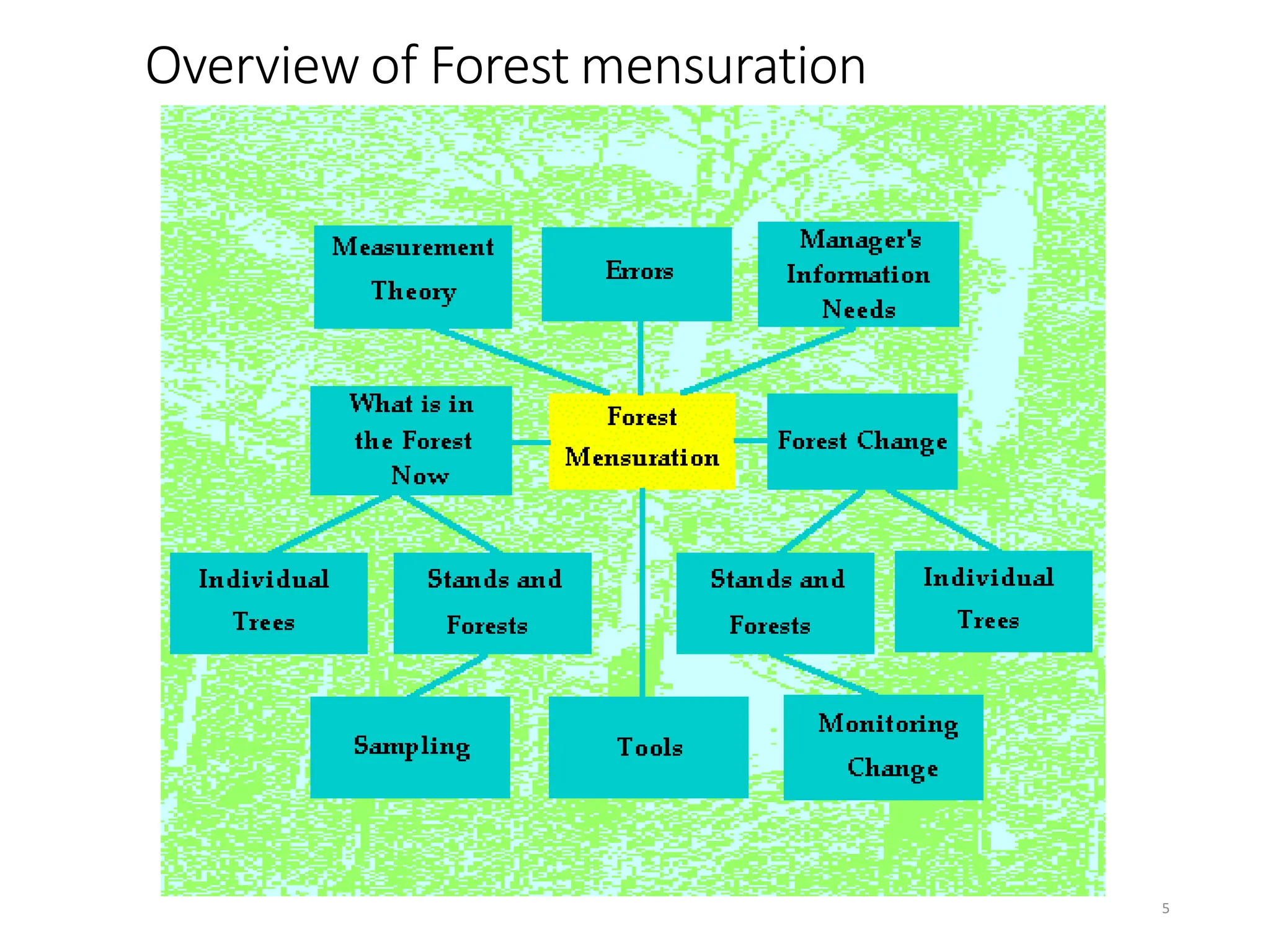 Forestry Introductory Forest Mensuration.pptx