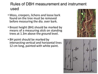 Forestry Introductory Forest Mensuration.pptx
