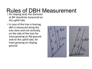 Forestry Introductory Forest Mensuration.pptx