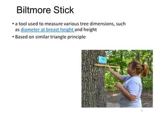 Forestry Introductory Forest Mensuration.pptx