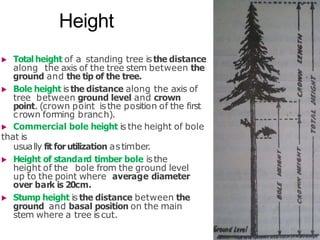 Forestry Introductory Forest Mensuration.pptx