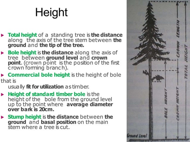Forestry Introductory Forest Mensuration.pptx | Physics | Science