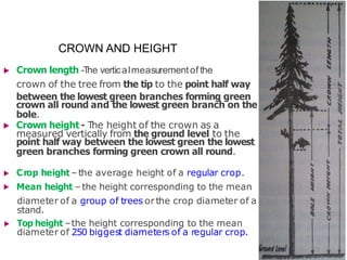 Forestry Introductory Forest Mensuration.pptx