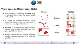 Introductory GIS | PDF