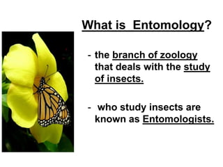 introductory lect-1 ento.ppt