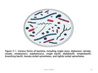 Introductory lecture | PPT