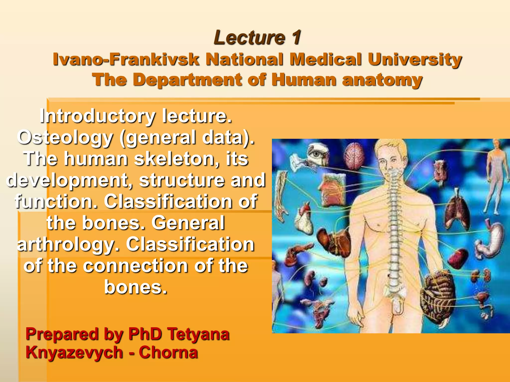 Introductory lecture. osteology (general data). the human skeleton, its ...