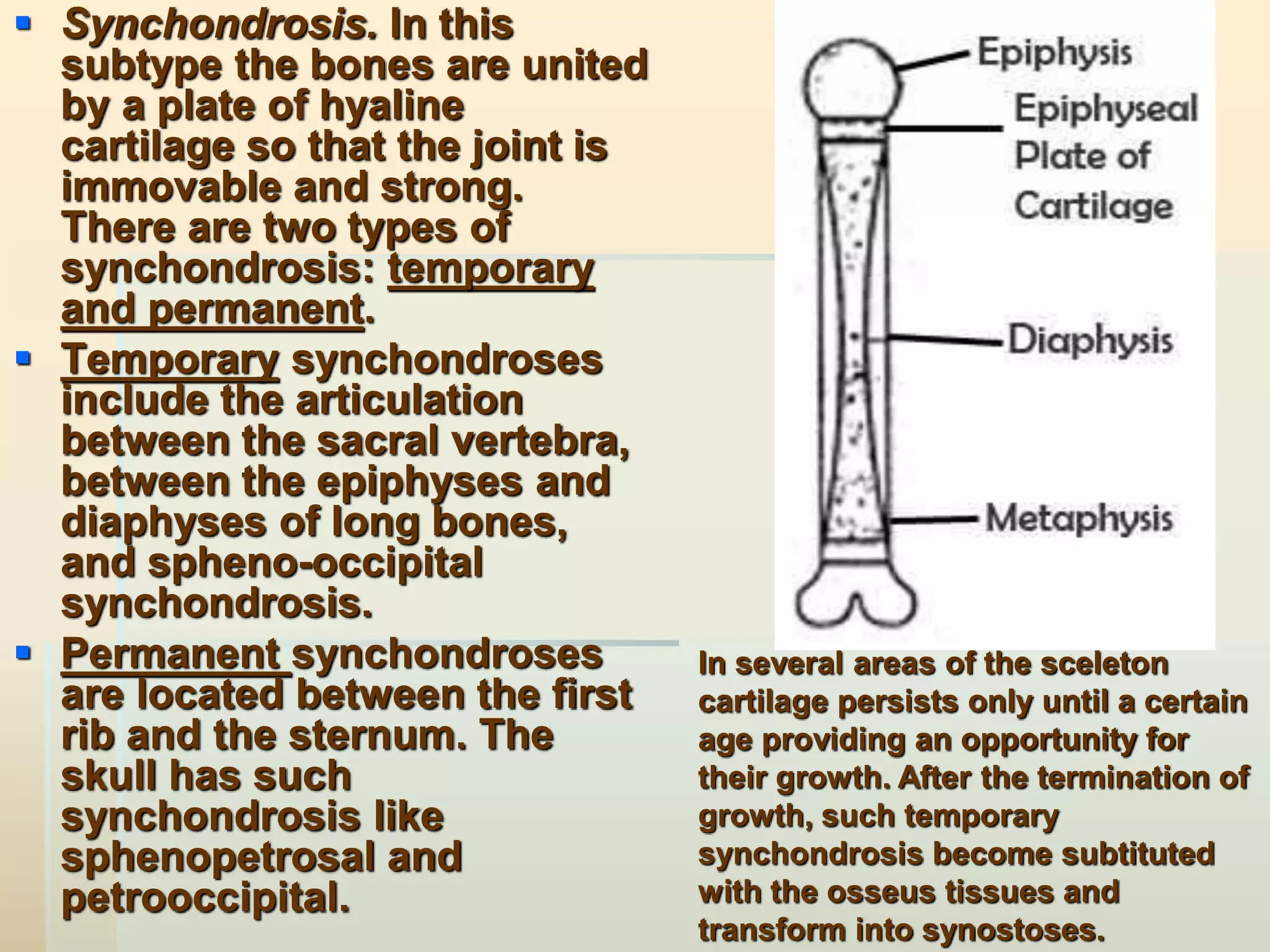 Introductory lecture. osteology (general data). the human skeleton, its ...