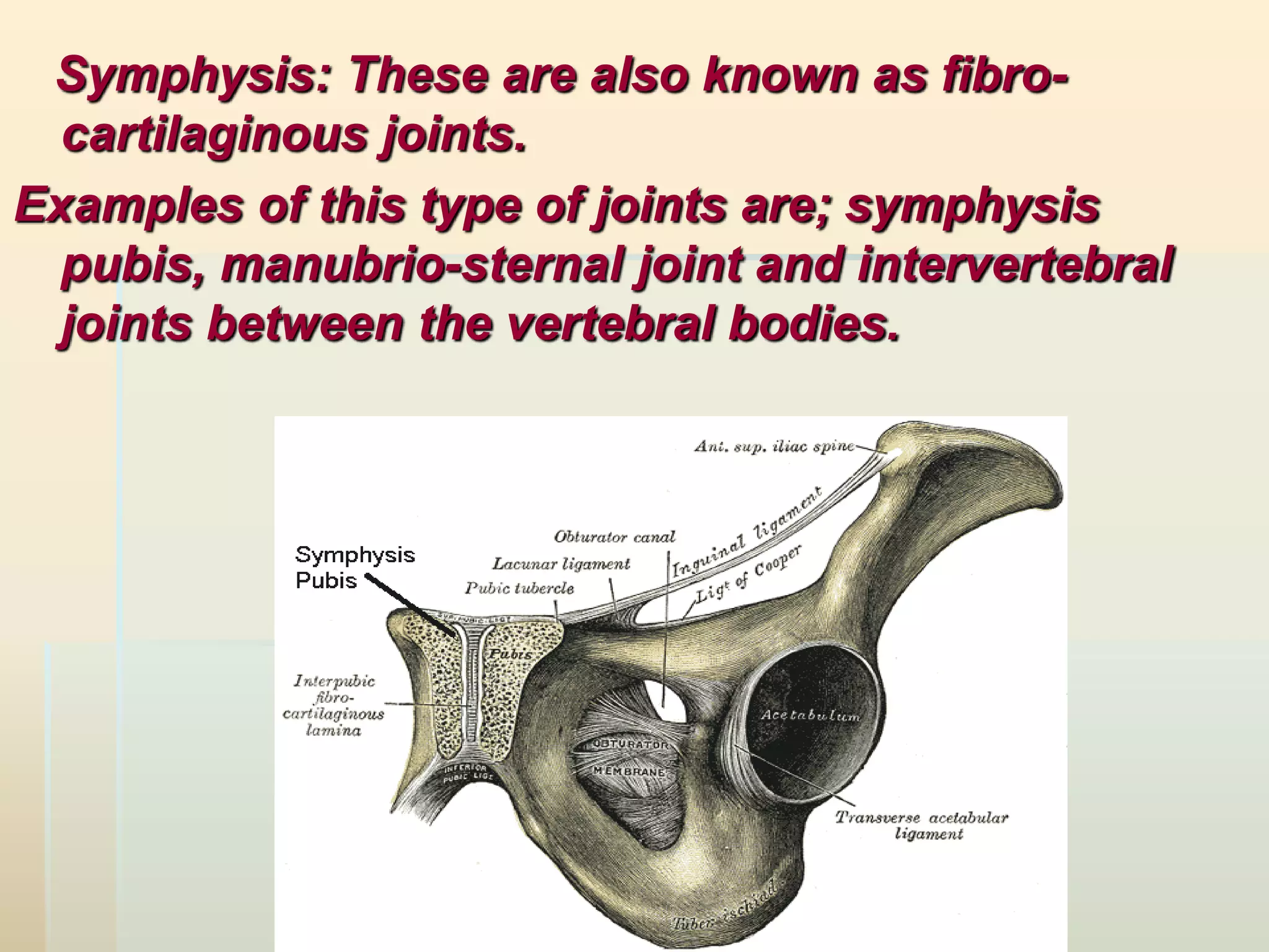 Introductory lecture. osteology (general data). the human skeleton, its ...