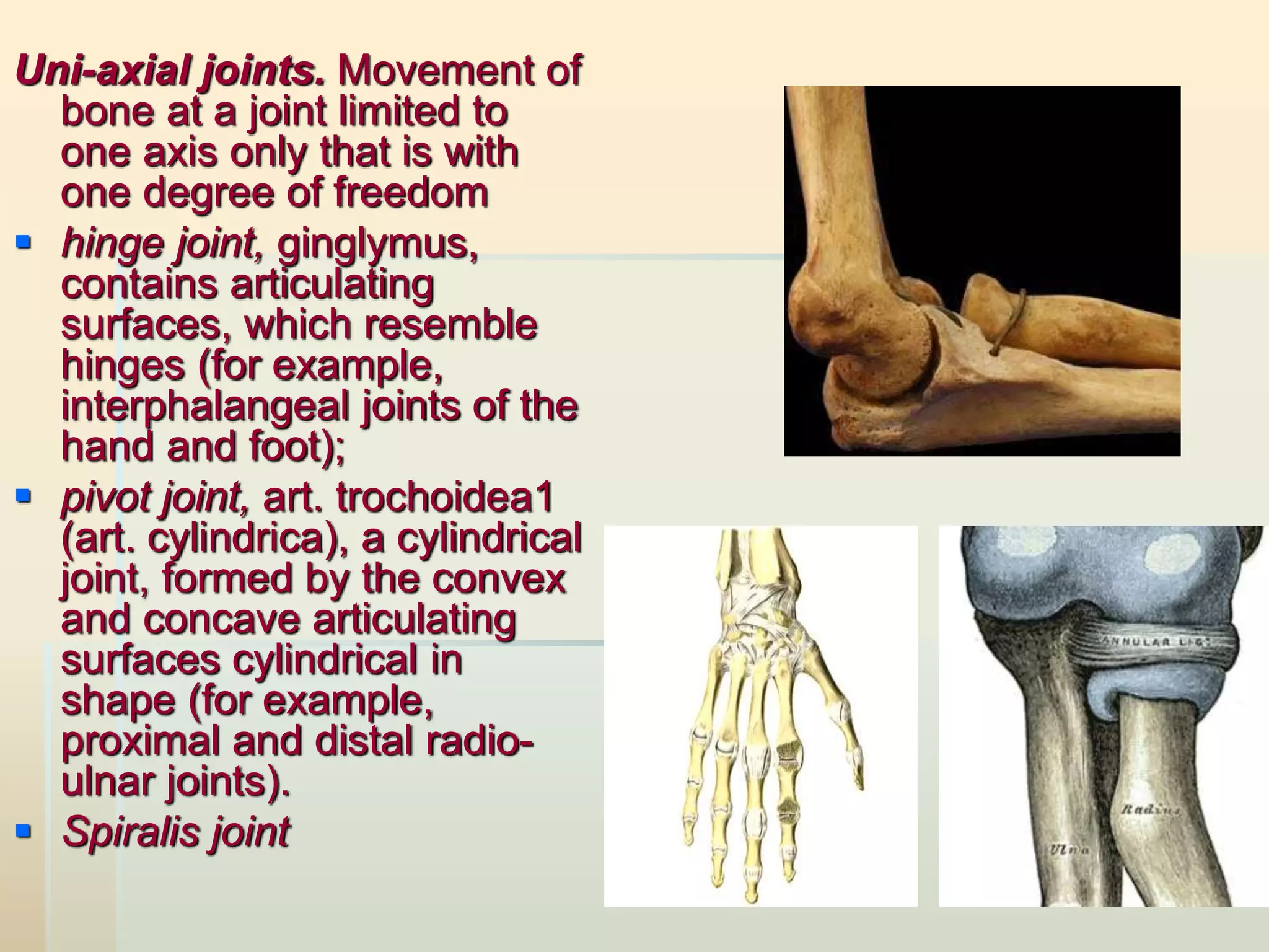 Introductory lecture. osteology (general data). the human skeleton, its ...