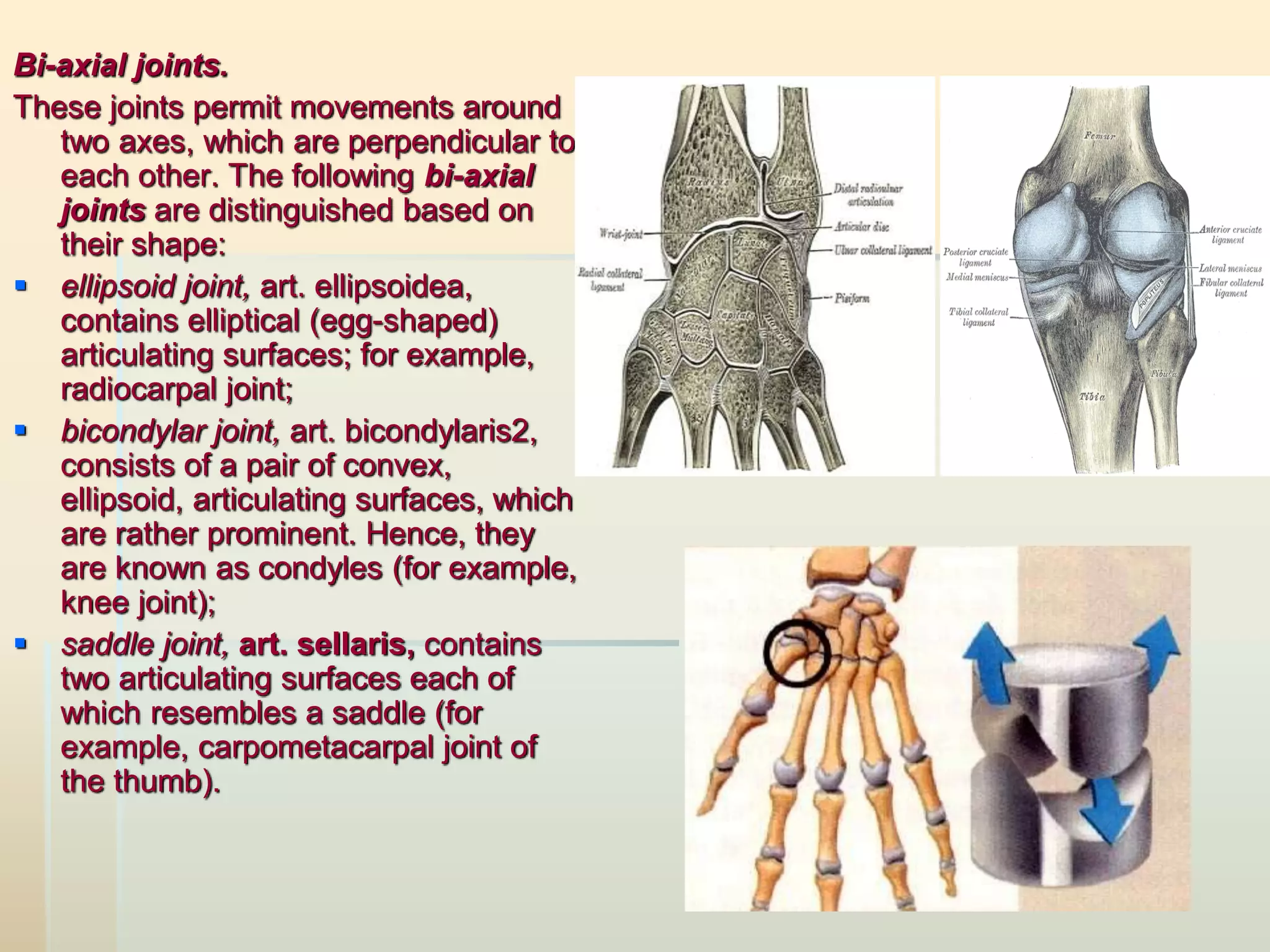 Introductory lecture. osteology (general data). the human skeleton, its ...