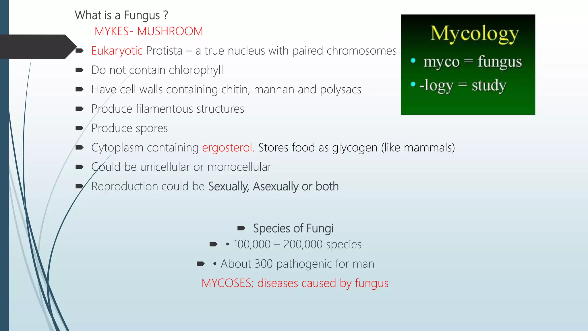 Introductory mycology | PPTX
