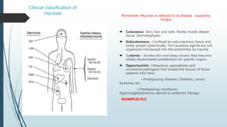 Introductory mycology | PPTX | Medical Health
