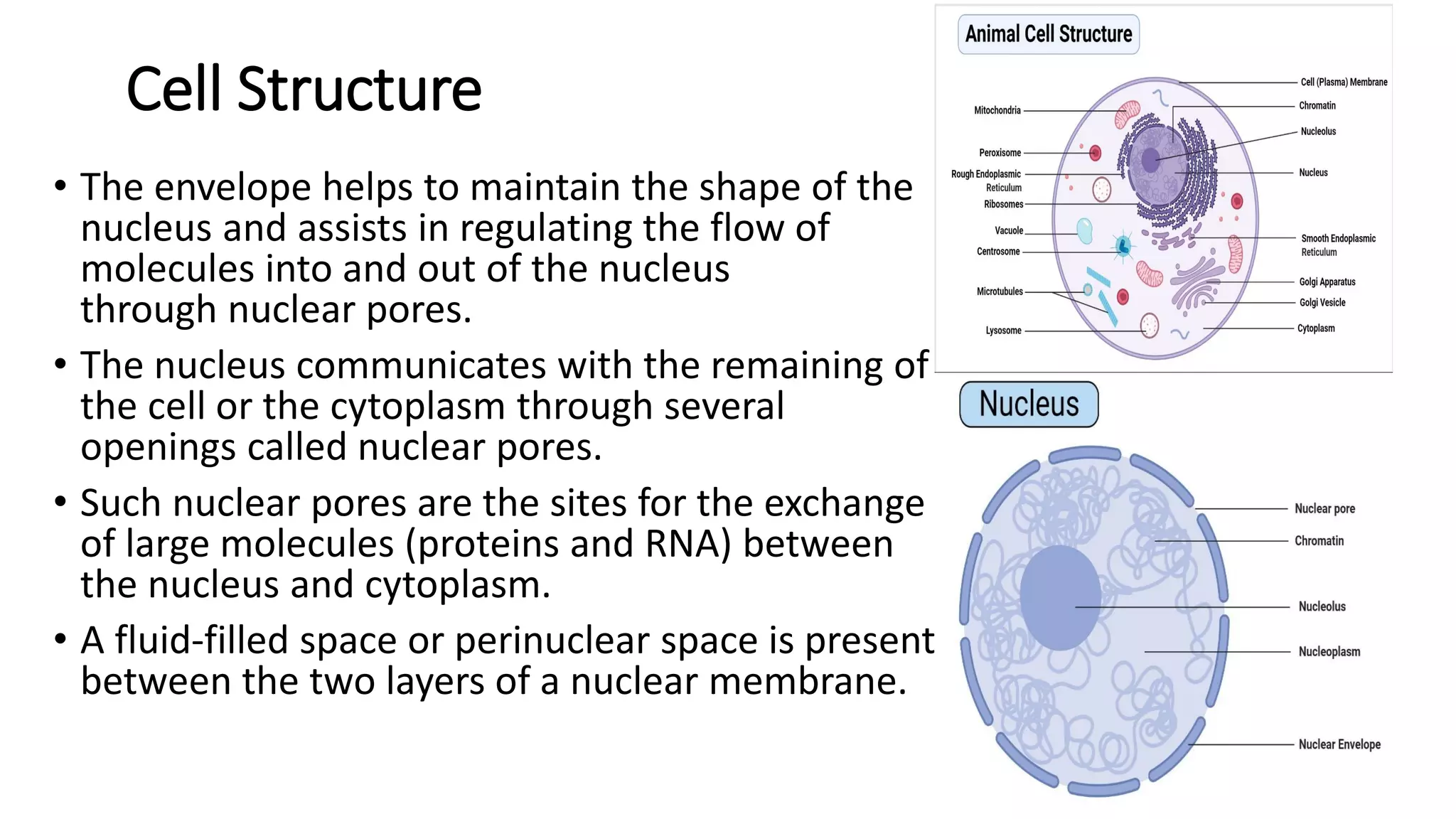 Introductory physiology lecture notes (1).pdf