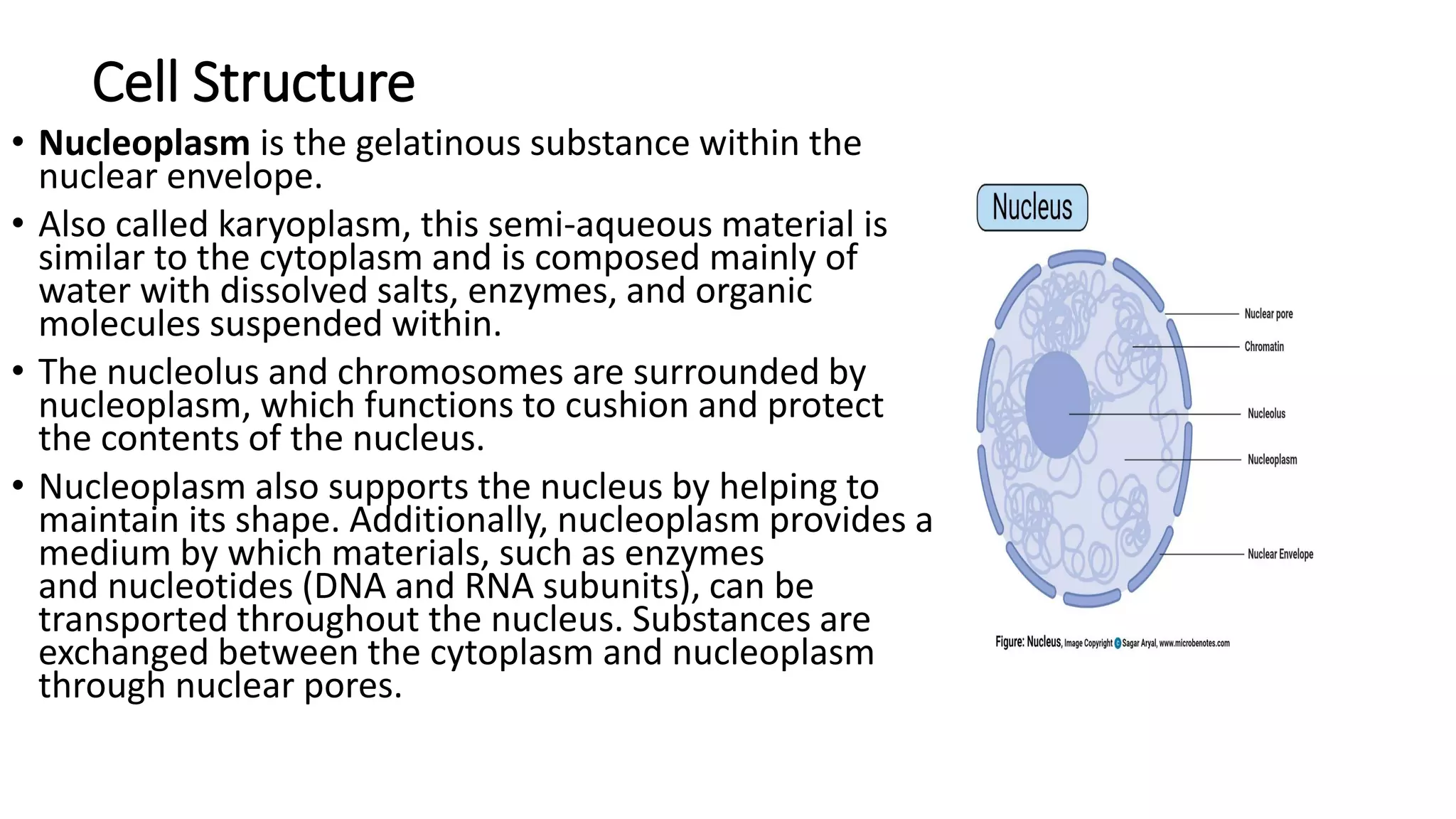 Introductory physiology lecture notes (1).pdf