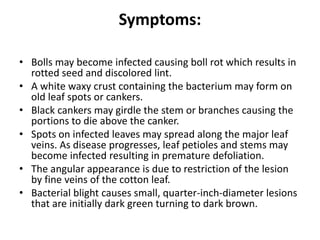 Introductory plant pathology | PPTX