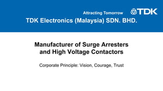 ACF2024 - TDK Electronics Malaysia | PDF
