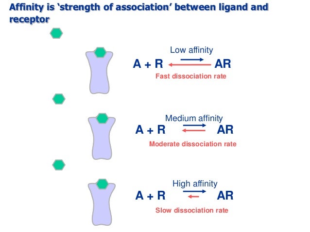 Introductory receptor pharmacology_2014-15_jap