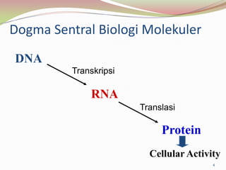Introductory tour biol mol | PPT