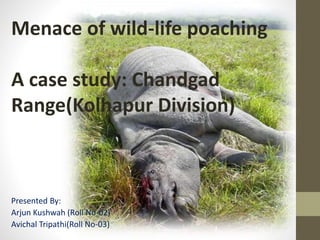 Menace of Wildlife poaching in Chandgad Range | PPTX