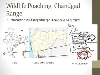 Menace of Wildlife poaching in Chandgad Range | PPTX