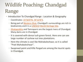 Menace of Wildlife poaching in Chandgad Range | PPTX