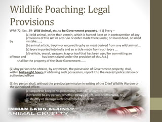 Menace of Wildlife poaching in Chandgad Range | PPTX