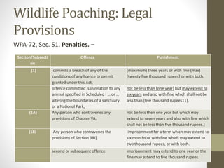 Menace of Wildlife poaching in Chandgad Range | PPTX