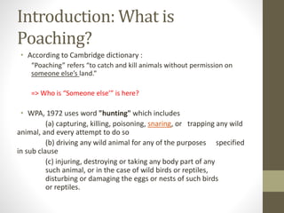 Menace of Wildlife poaching in Chandgad Range | PPTX