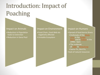 Menace of Wildlife poaching in Chandgad Range | PPTX
