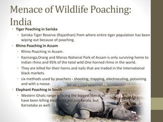 Menace of Wildlife poaching in Chandgad Range | PPTX