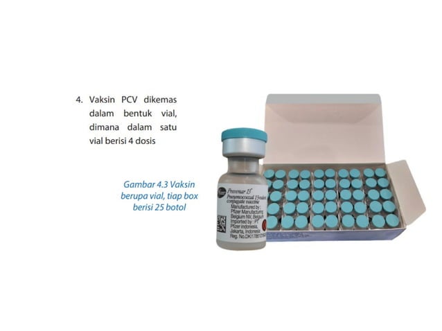 Introduksi PCV.pptxhsklal;;;sssssifoigiuu | PPTX