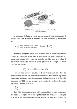 pratica sobre LEITO FIXO meios porosos | DOCX