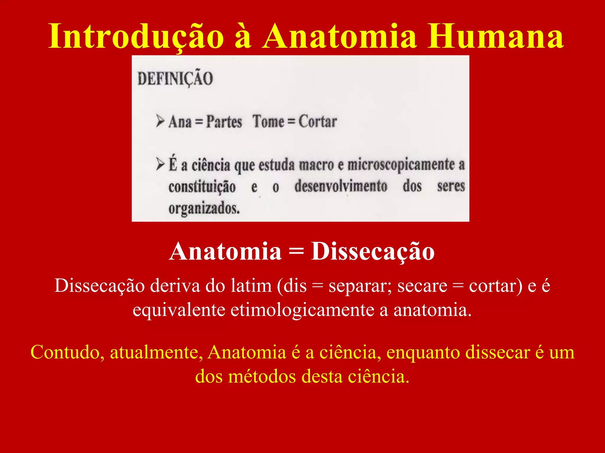Introdução a Anatomia Humana | PPT