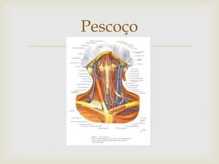Introdução a anatomia por Robson Lucas | PPTX