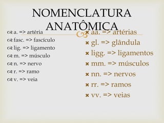 Introdução a anatomia por Robson Lucas | PPTX