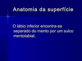 Anatomia Bucal | PPT