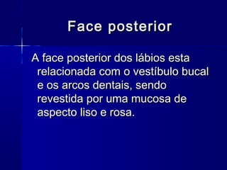 Anatomia Bucal | PPT