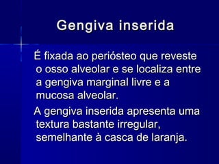Anatomia Bucal | PPT