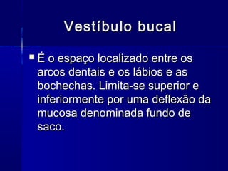 Anatomia Bucal | PPT