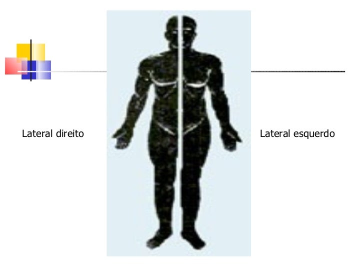 Introdução anatomia